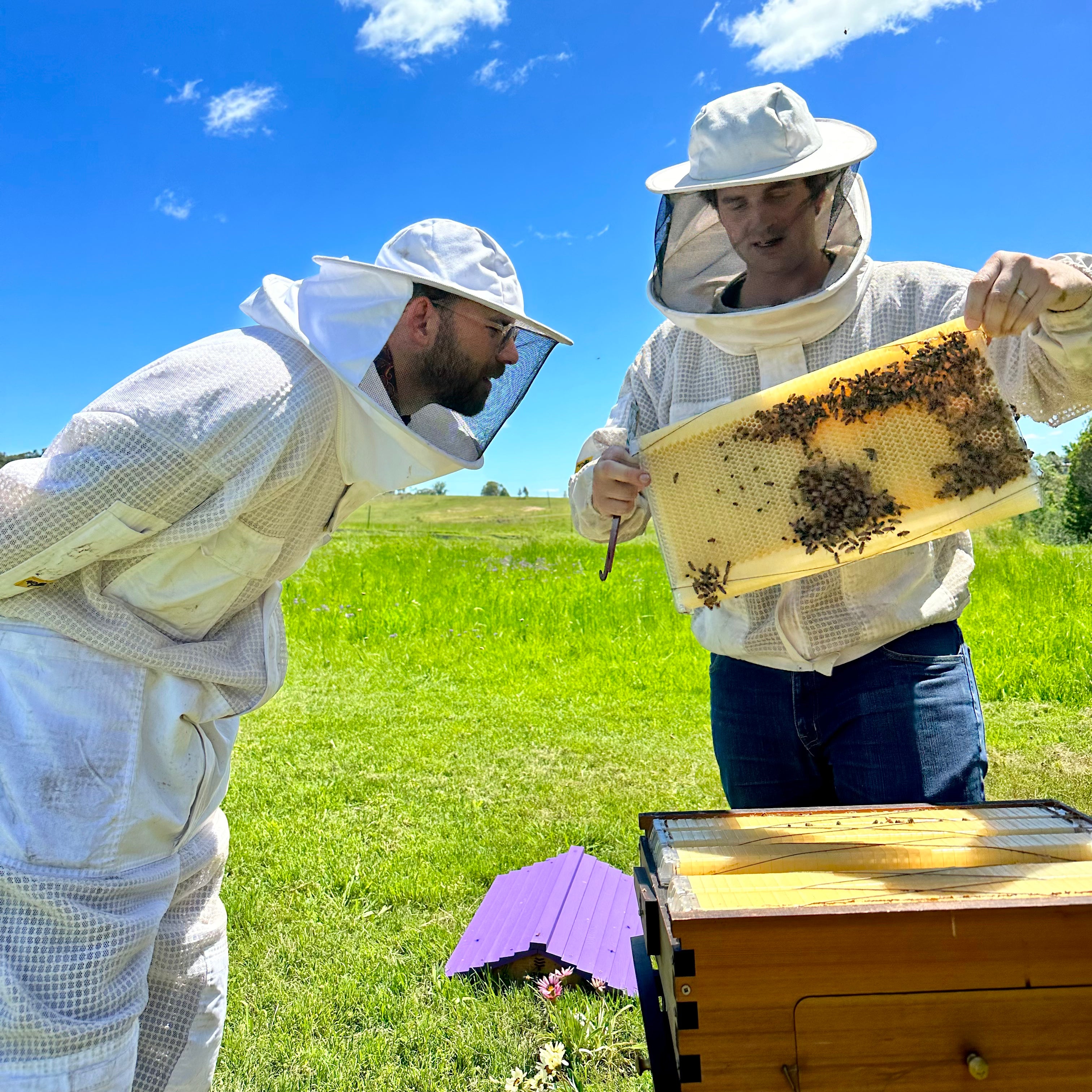Beekeeping For Beginners | Hunter Lavender Farm x The Humble Hive Collective